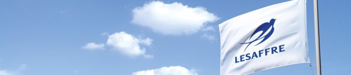 Il Gruppo Lesaffre – Lesaffre Italia